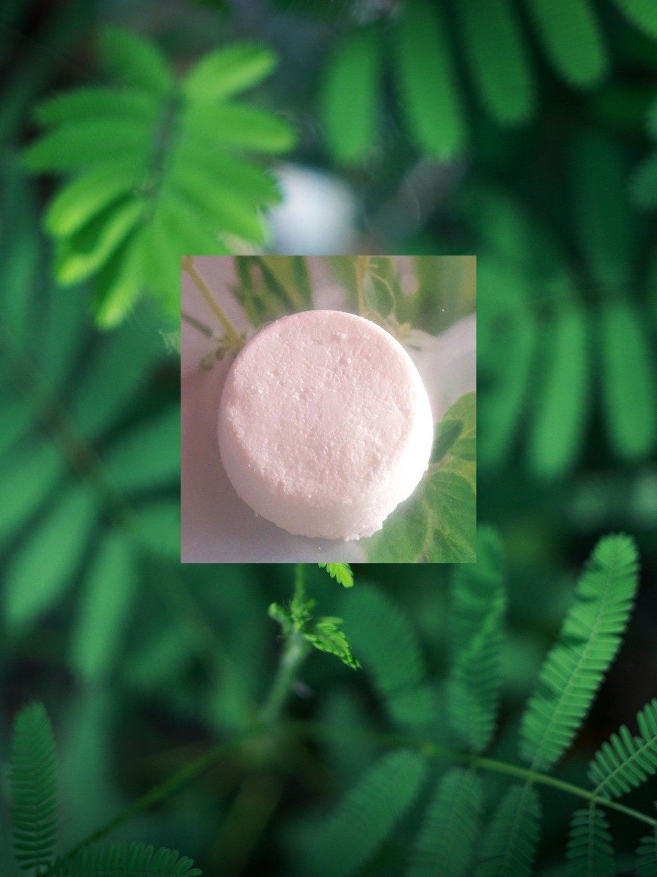 Cake/savon solide vaisselle rond 60 gr. - Cestfeemaison